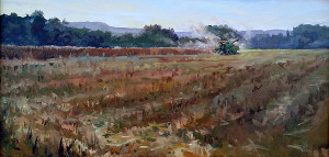 Why This Works: Making the Focal Point "A Subtle Delightful Discovery ...