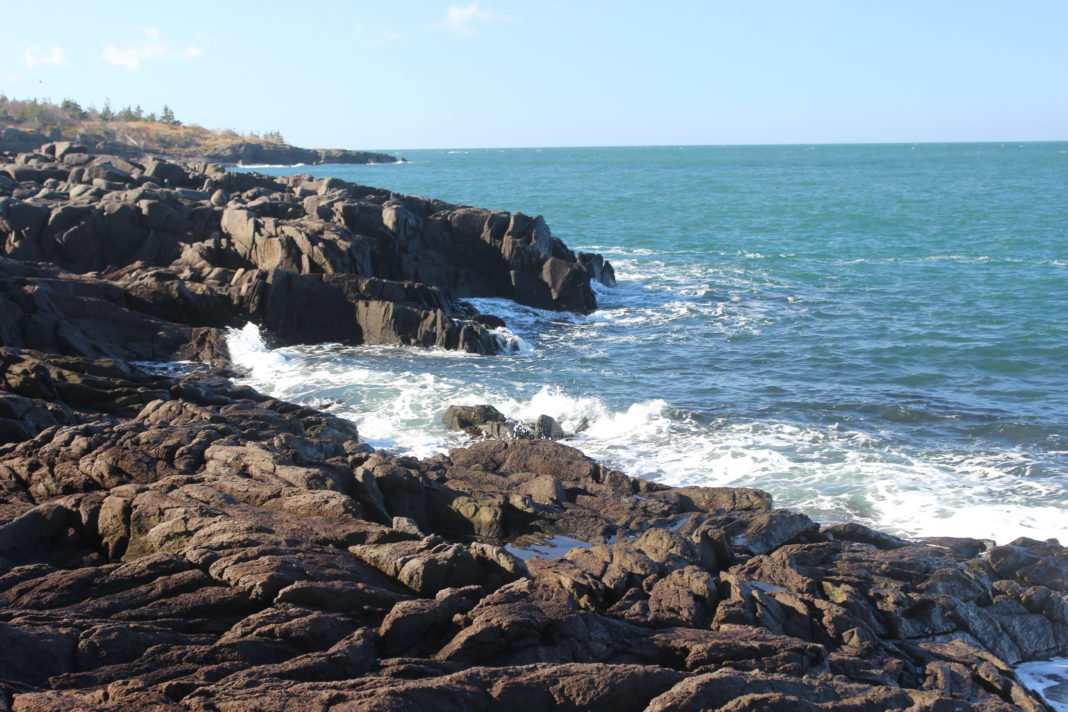 My Favorite Place to Paint: Poppy and Point Prim - OutdoorPainter