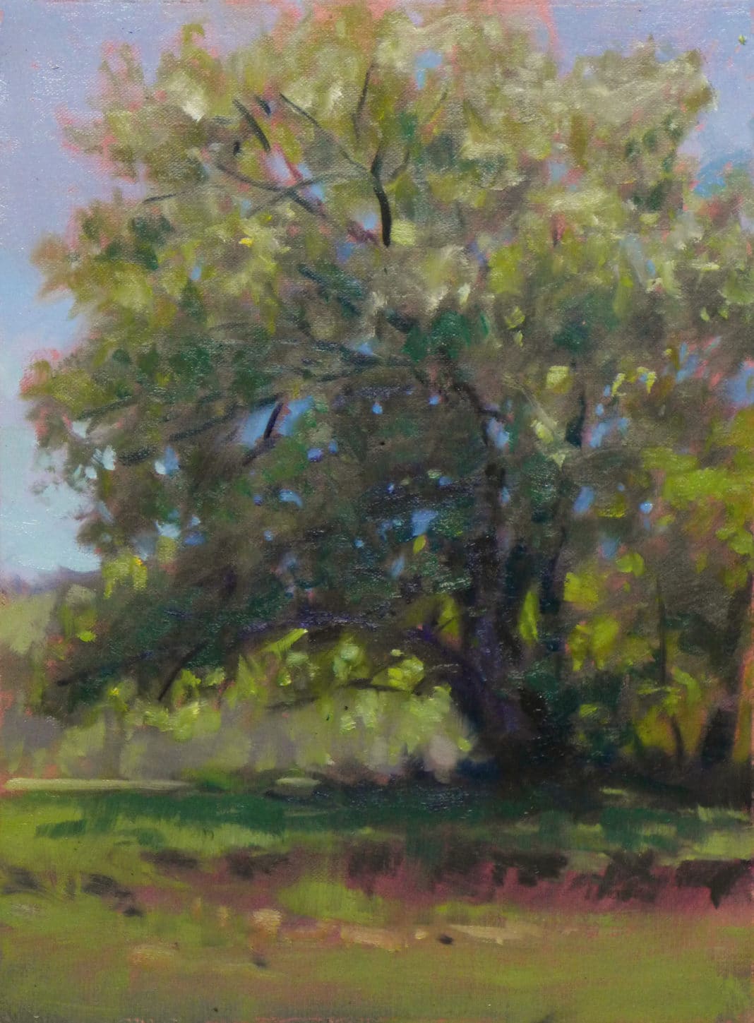 Six Keys to Painting Trees with Character and Dimension - OutdoorPainter