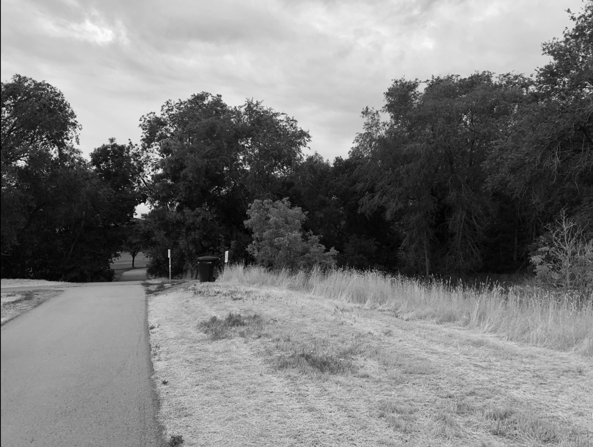 Plein Air Practice: Achieve Better Designs By Doing This Now ...