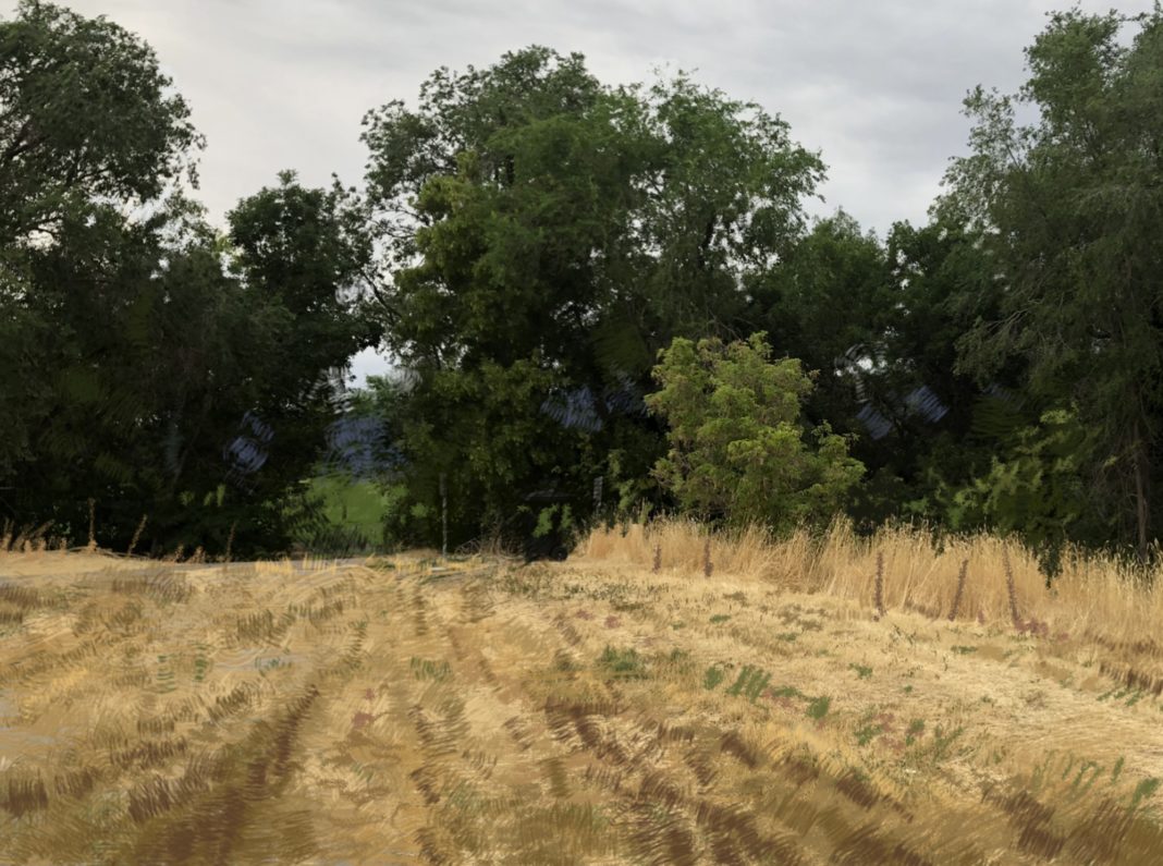 Plein Air Practice: Achieve Better Designs By Doing This Now ...