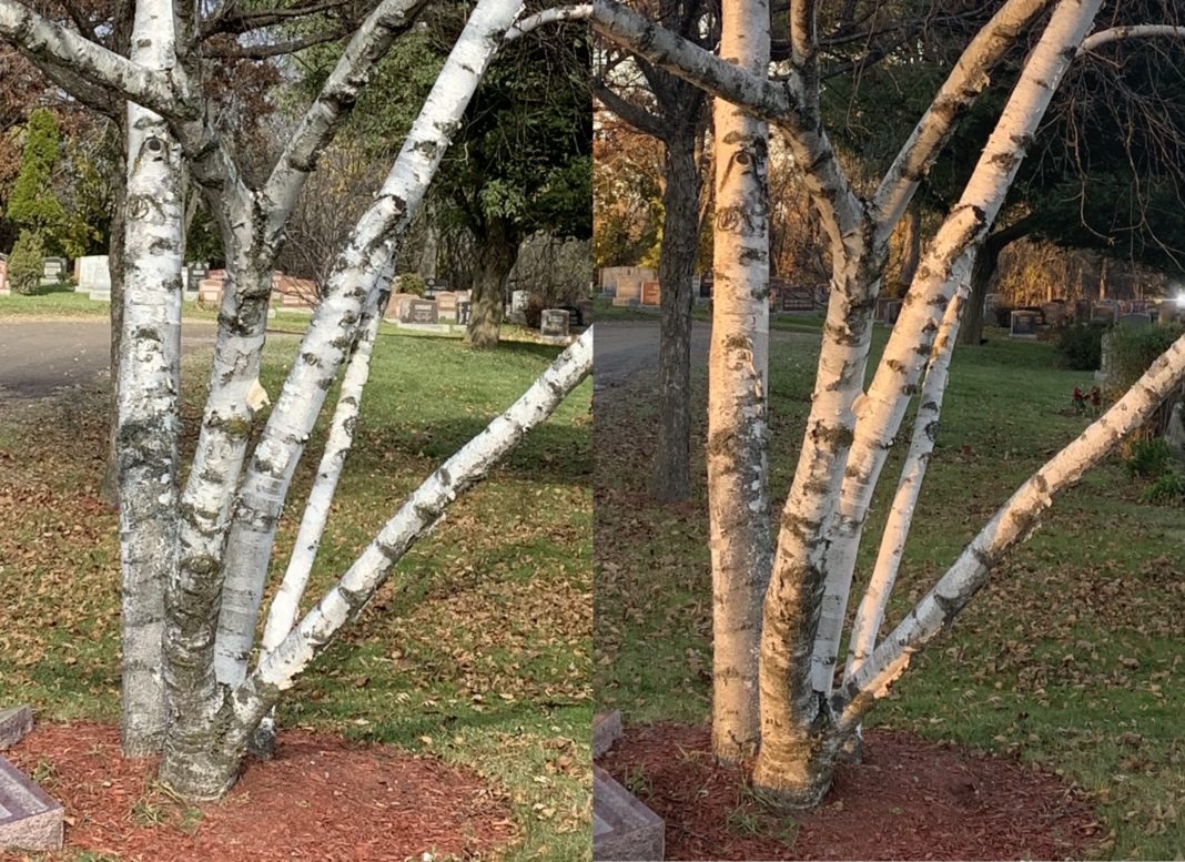 How Light Affects Your White - OutdoorPainter