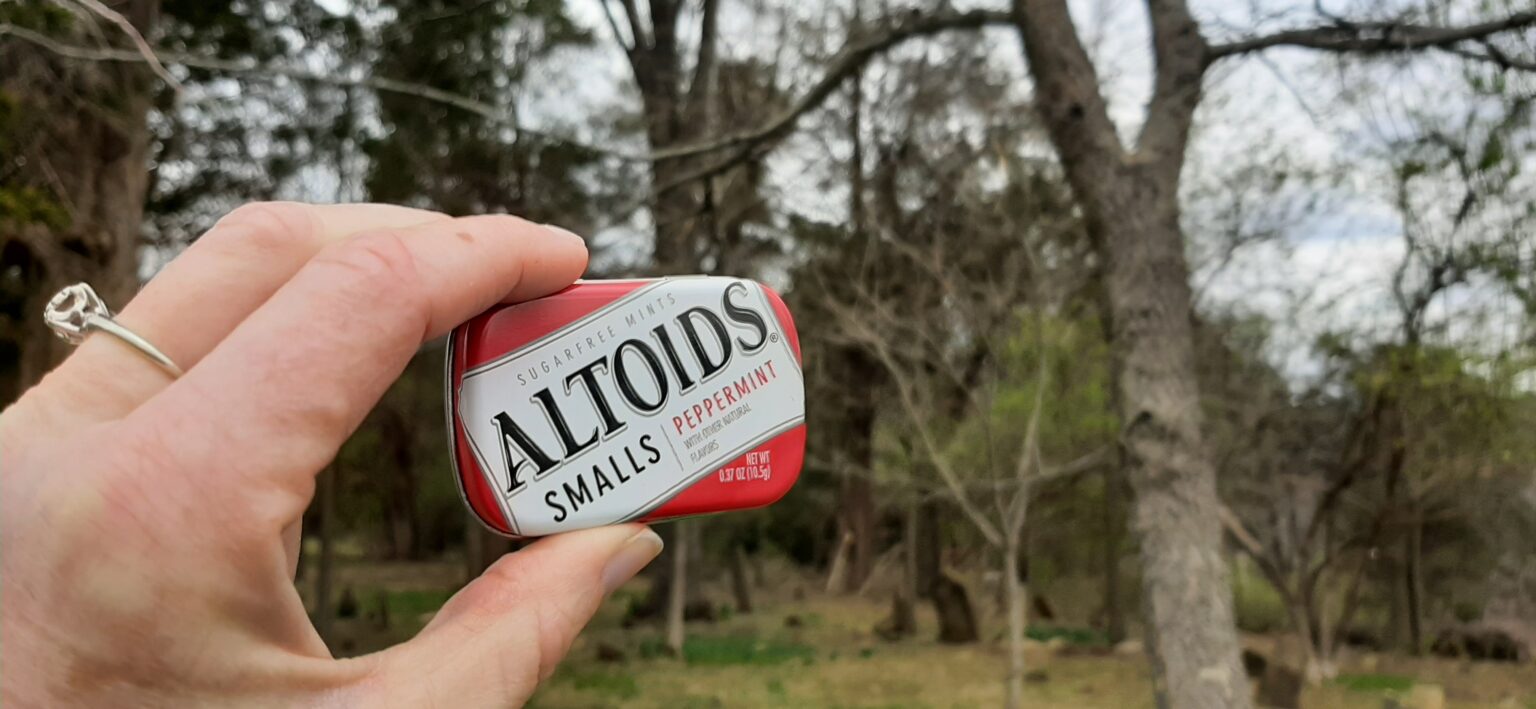 Can Altoids Help You Paint Better? - OutdoorPainter