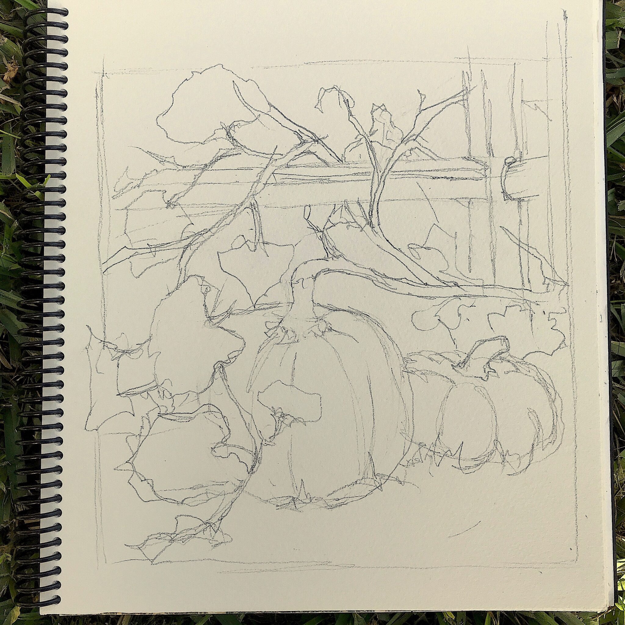 Free Lesson: Negative Painting with Watercolor - OutdoorPainter