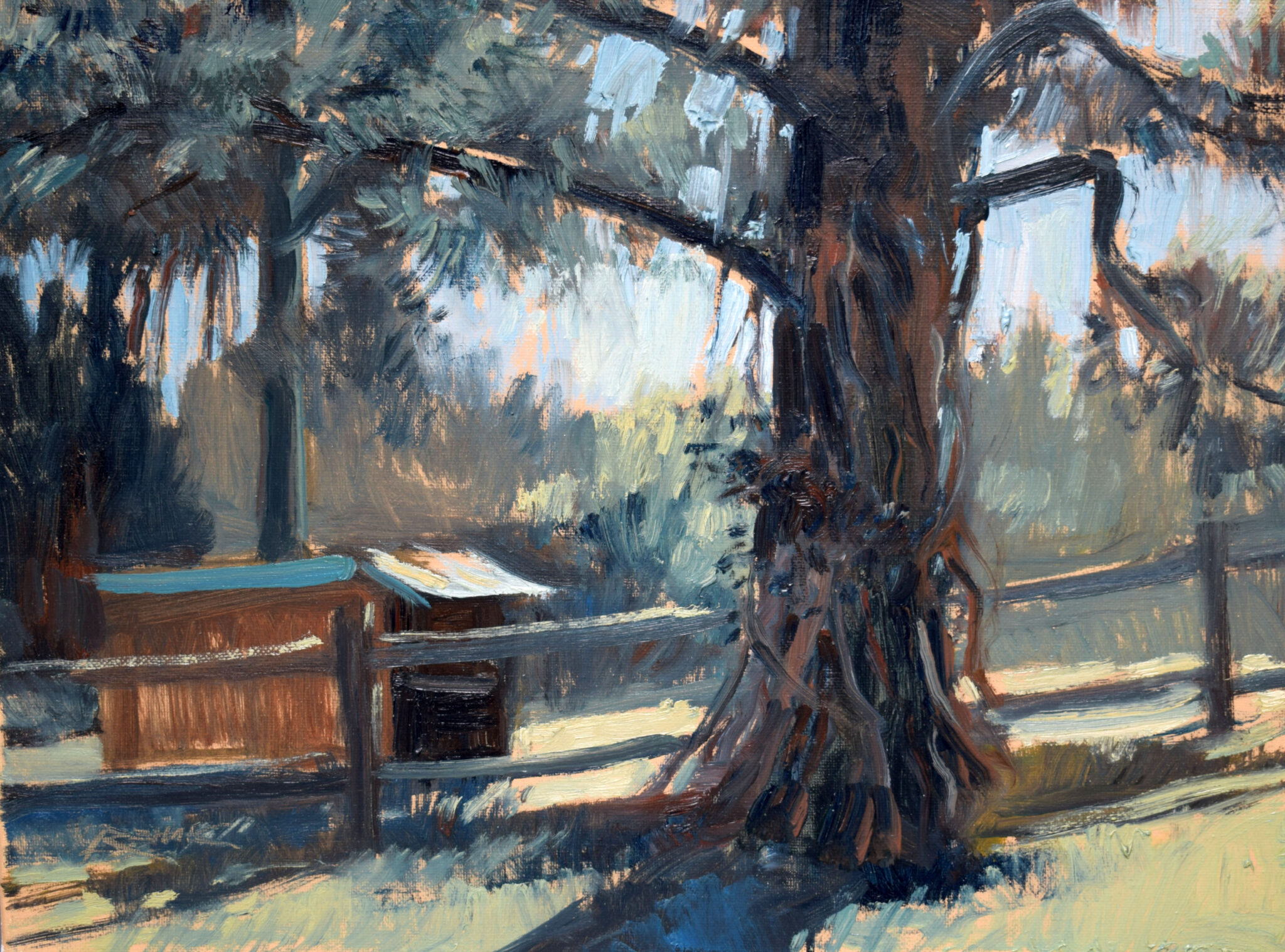 Branching Out: 17 Plein Air Paintings of Trees - OutdoorPainter